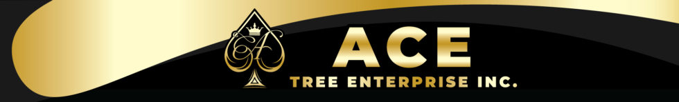 Tree Removal Trimming Roseville Sacramento - Free Estimate