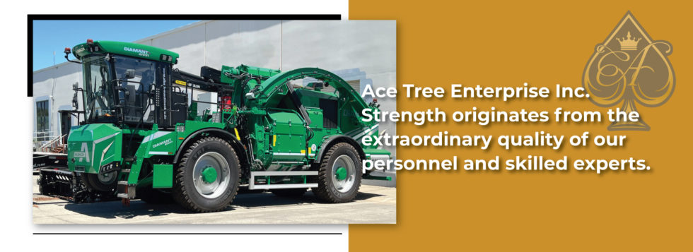 Tree Removal Trimming Roseville Sacramento - Free Estimate